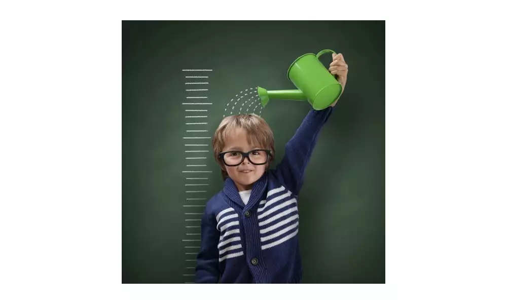 Co to jest siatka centylowa i jak ją czytać?